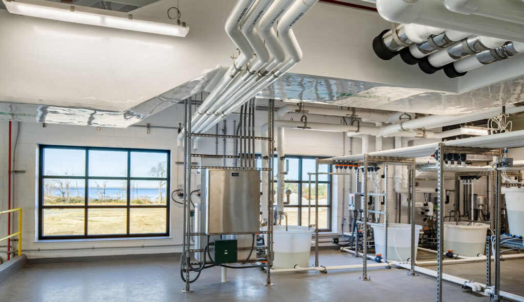 Ferry Cove Shellfish | Becker Morgan Group | Architecture & Design